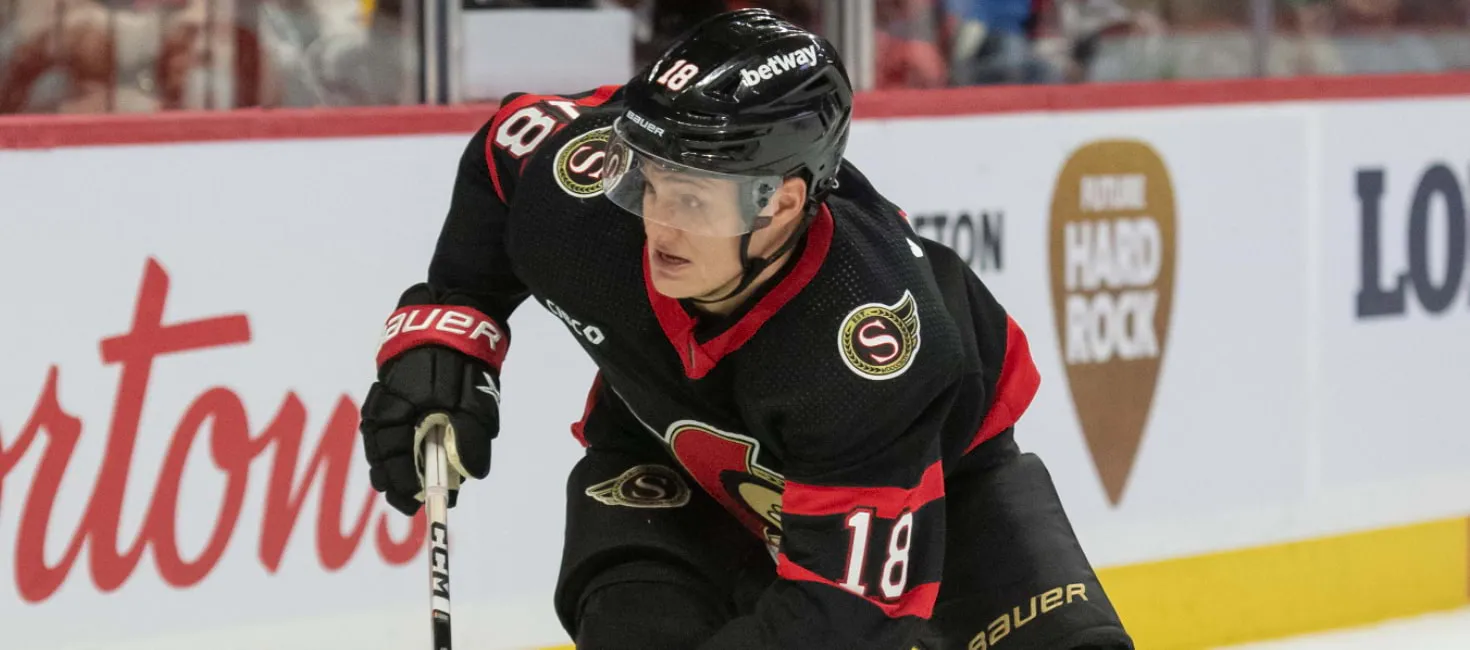 NHL Odds, Picks & Predictions: Sunday (12/29) | BettingPros